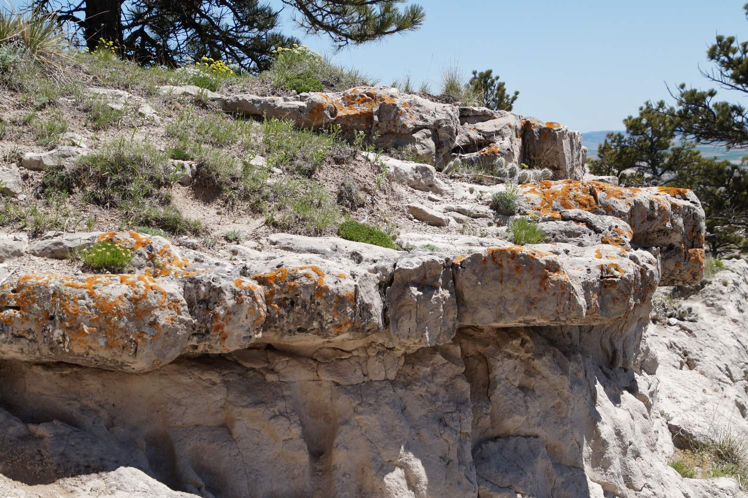 Solve Tabletop jigsaw puzzle online with 77 pieces