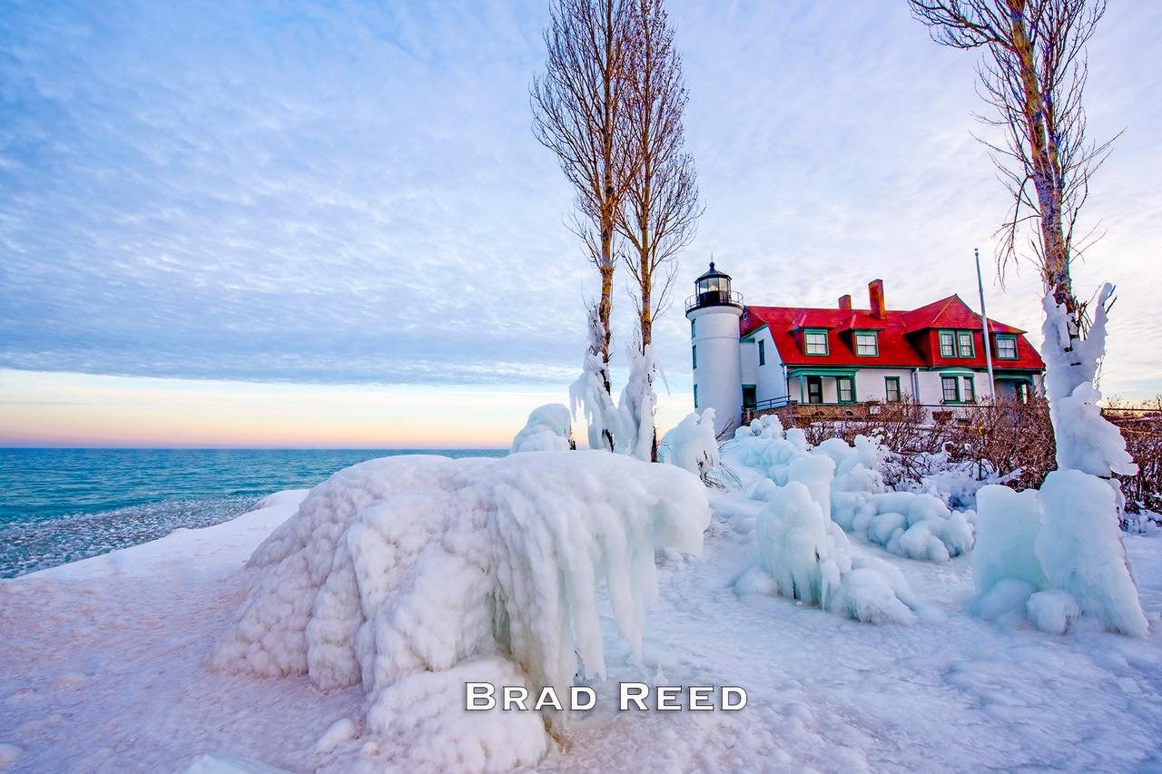 Solve Brad Reed jigsaw puzzle online with 54 pieces