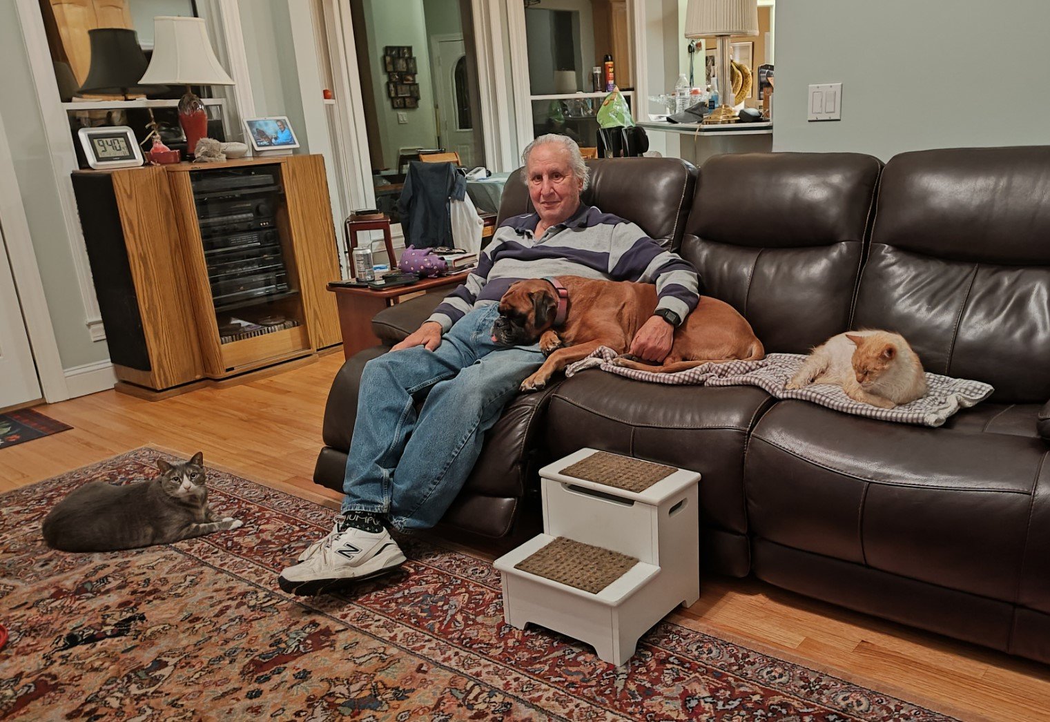 Solve Introcuding Tom and his New Family jigsaw puzzle online with 300 ...