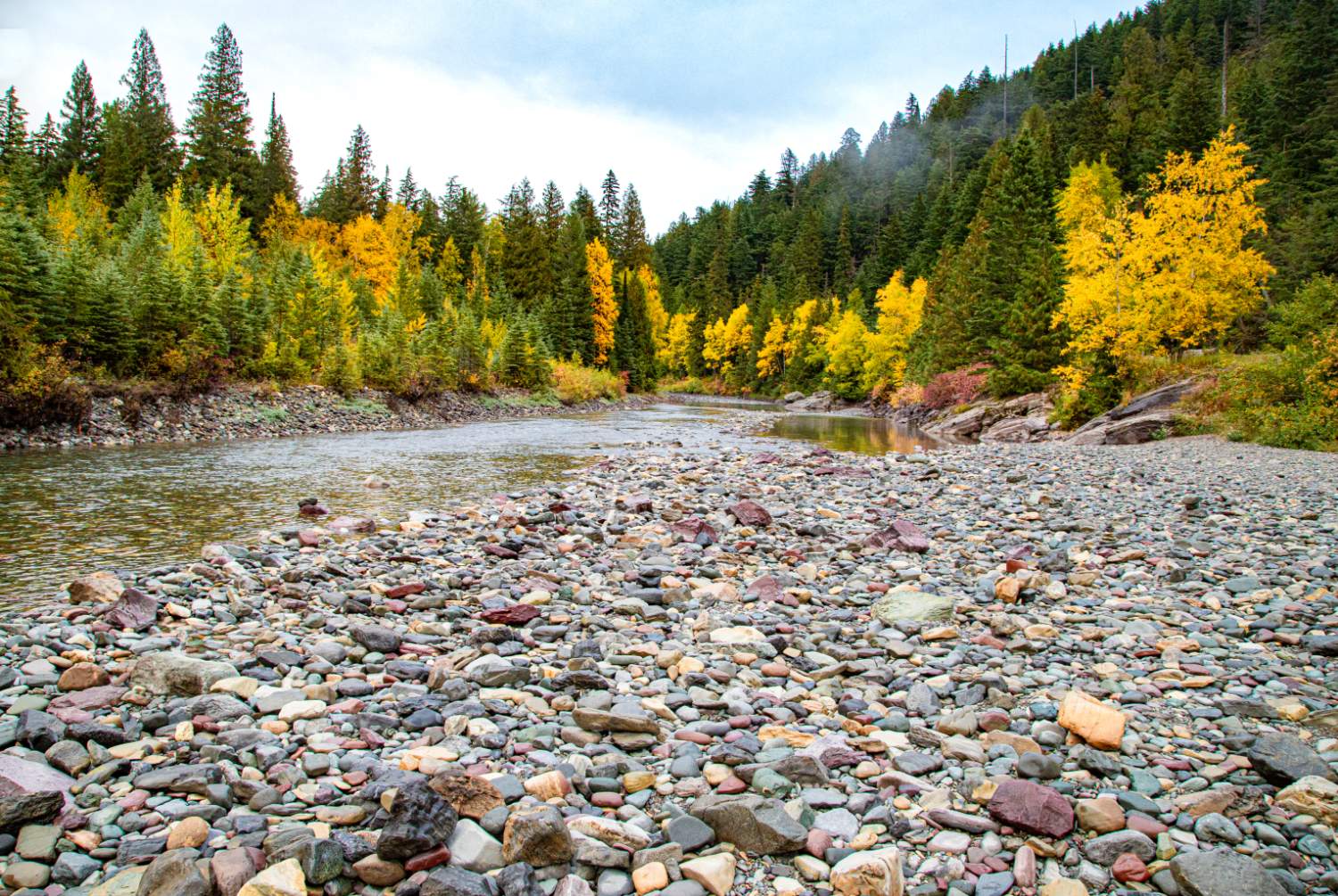 Solve MONTANA GRAVEL BAR jigsaw puzzle online with 96 pieces