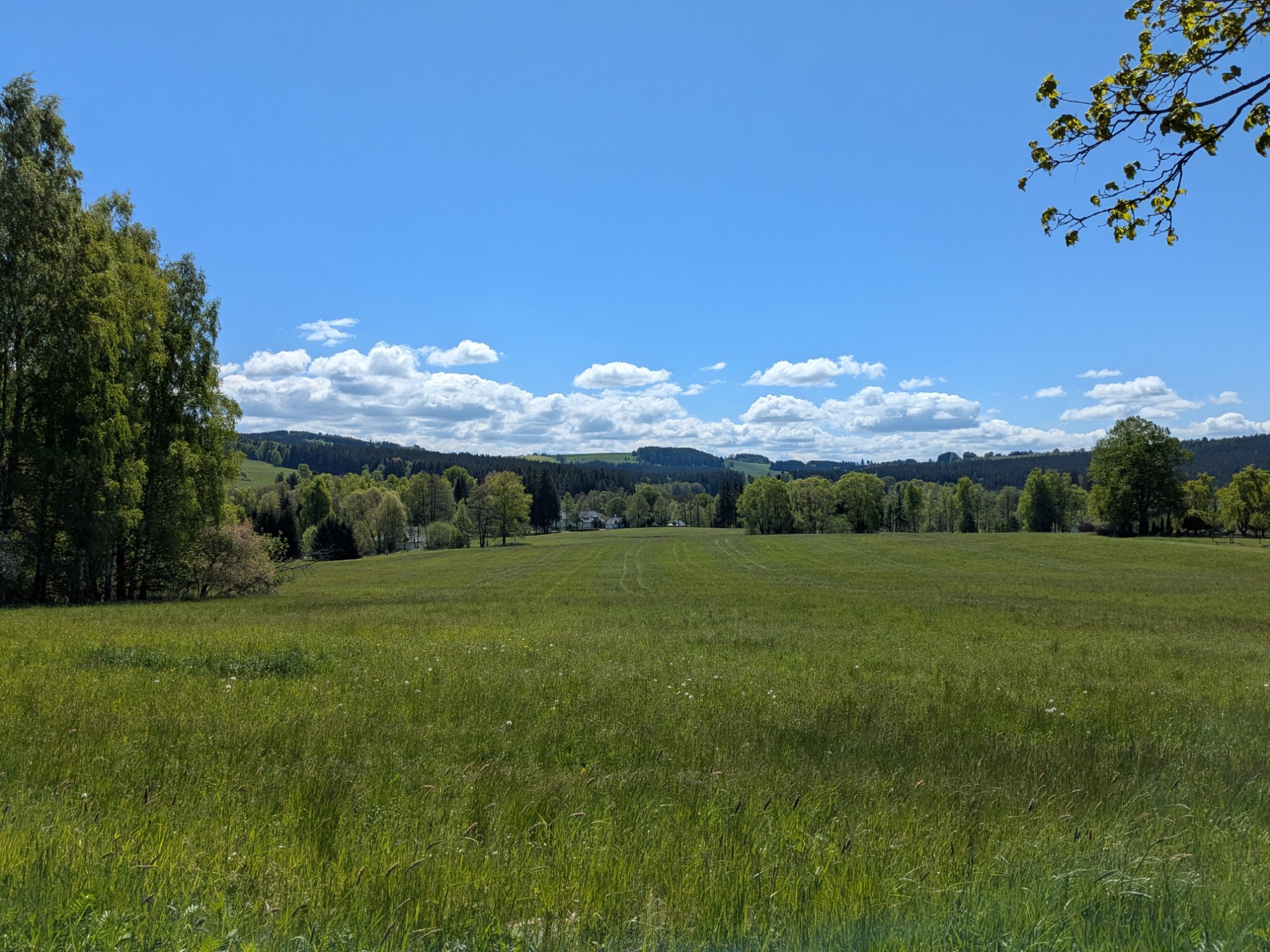 Solve Vysočina - Milovy jigsaw puzzle online with 108 pieces