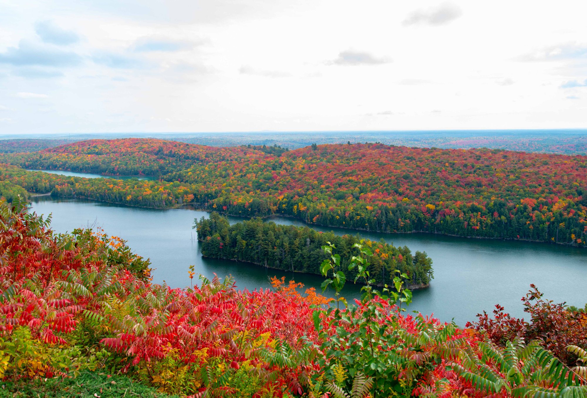 Jigsaw Puzzle | 150 pieces | Elliot Lake Fire Tower View | Jigidi