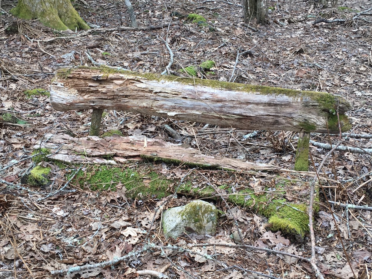 Solve Bench jigsaw puzzle online with 108 pieces