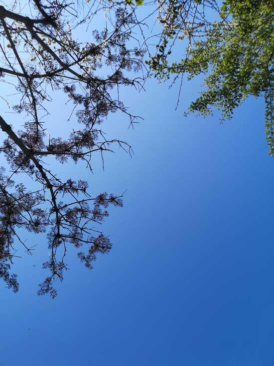 Solve Blue sky jigsaw puzzle online with 12 pieces