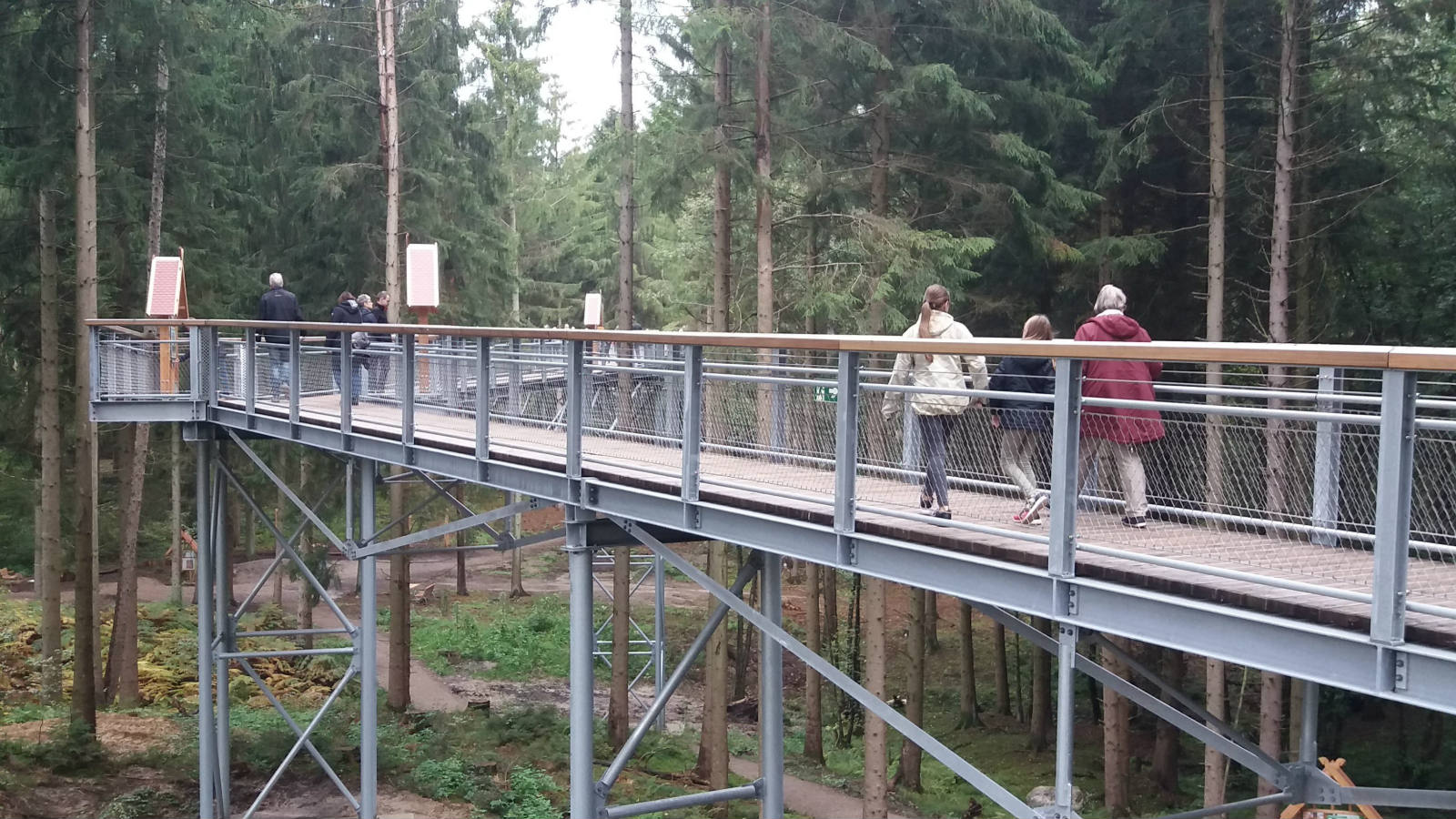 Puzzle | 144 piezas | Baumwipfelpfad / Tree-top path | Jigidi