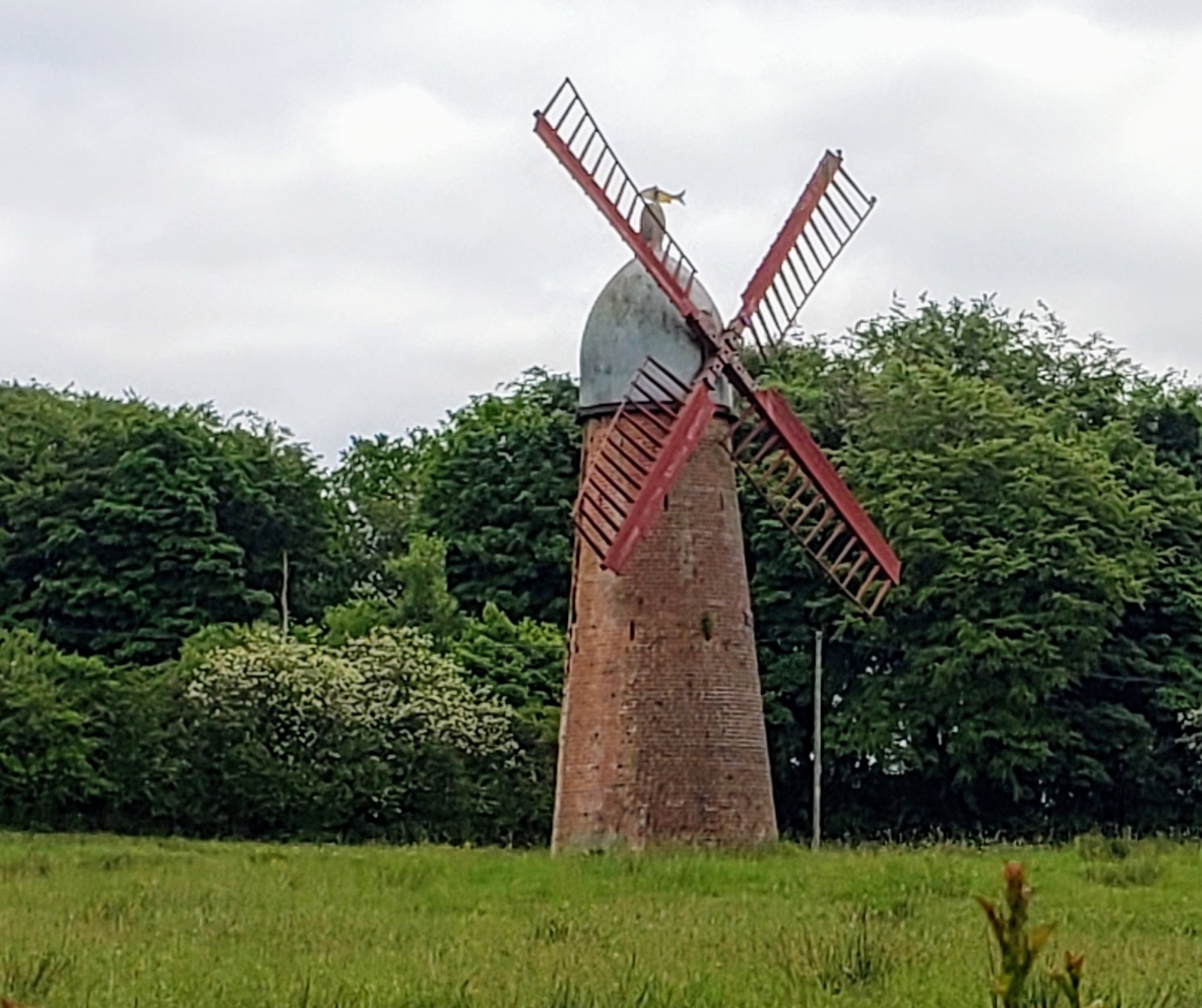 Solve Haigh Windmill jigsaw puzzle online with 56 pieces