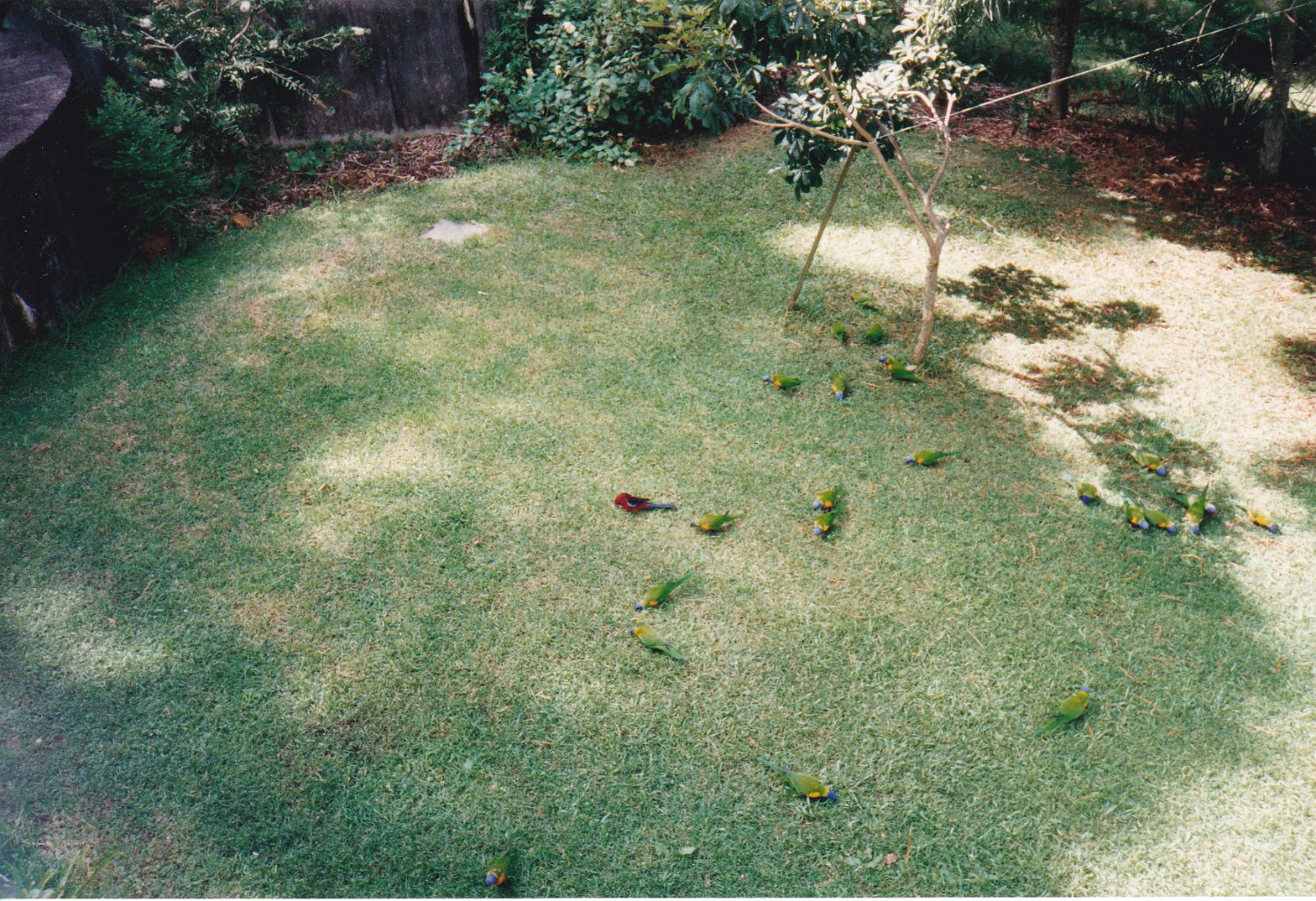 Solve Brisbane (& other places) - Australia (1997) (13 of 15 or so ...
