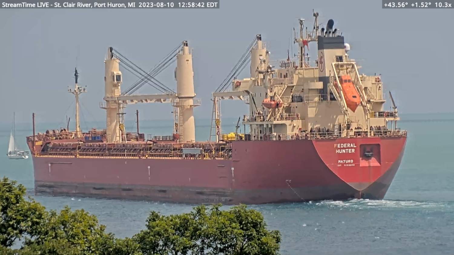 Solve Federal Hunter jigsaw puzzle online with 60 pieces