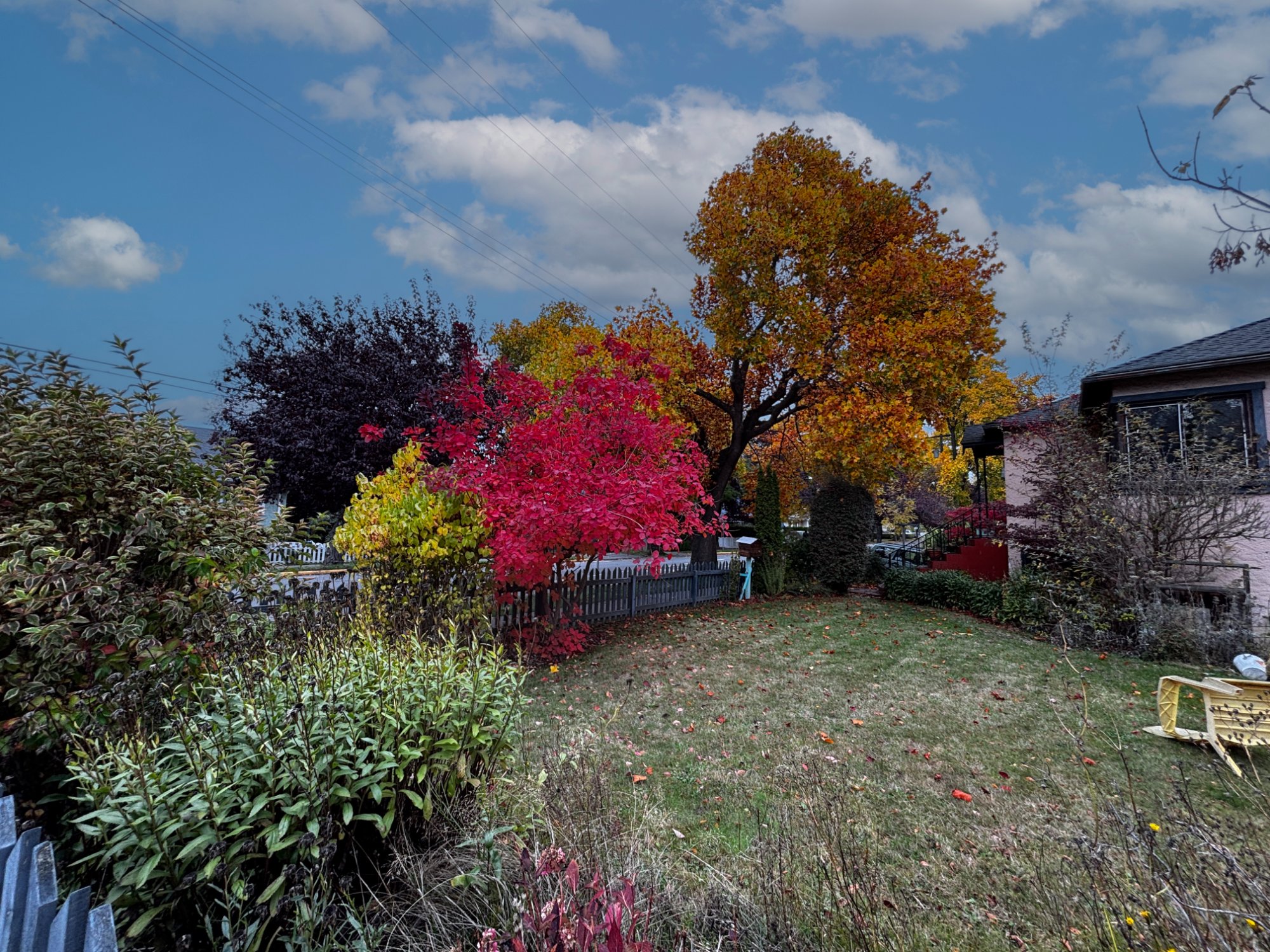 Solve Fall colors jigsaw puzzle online with 130 pieces