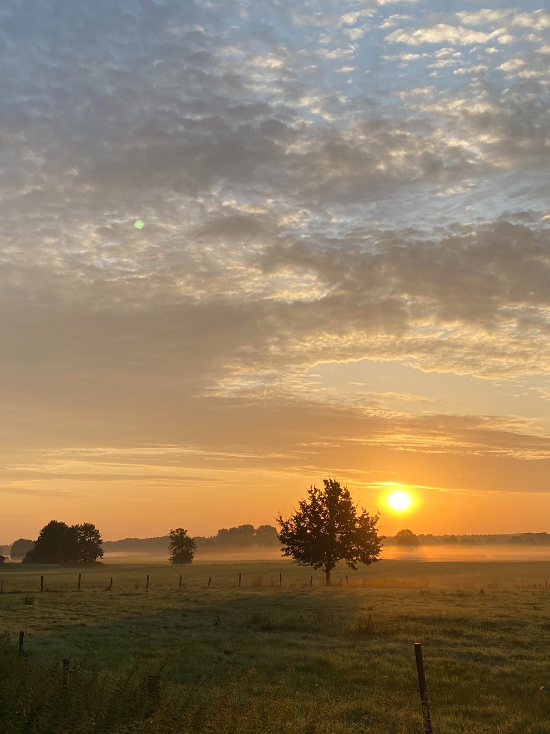 Solve Nature jigsaw puzzle online with 130 pieces