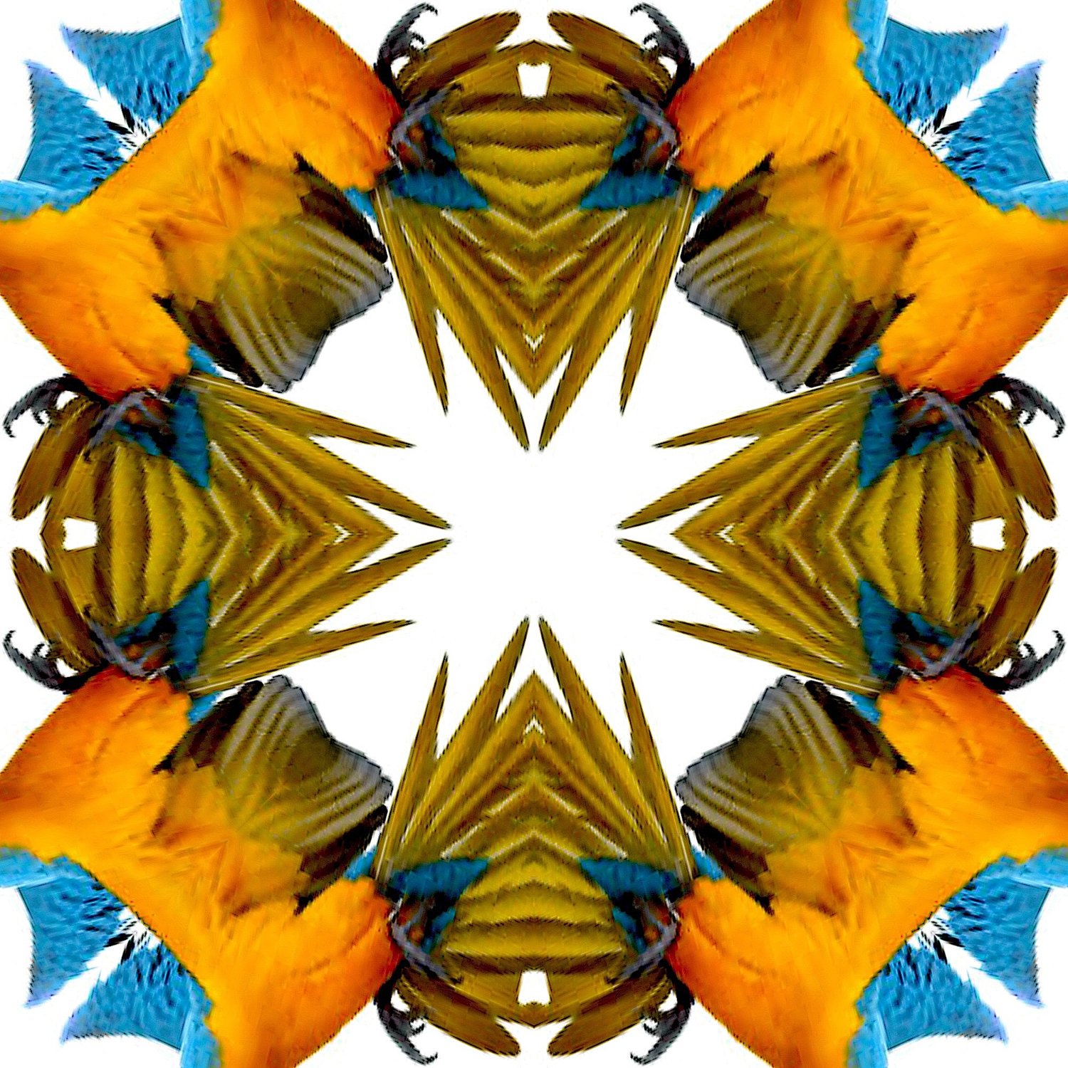 Solve #2 large jigsaw puzzle online with 144 pieces