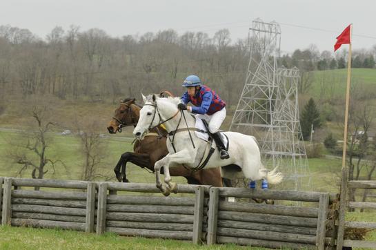 Solve Timber Racing jigsaw puzzle online with 54 pieces