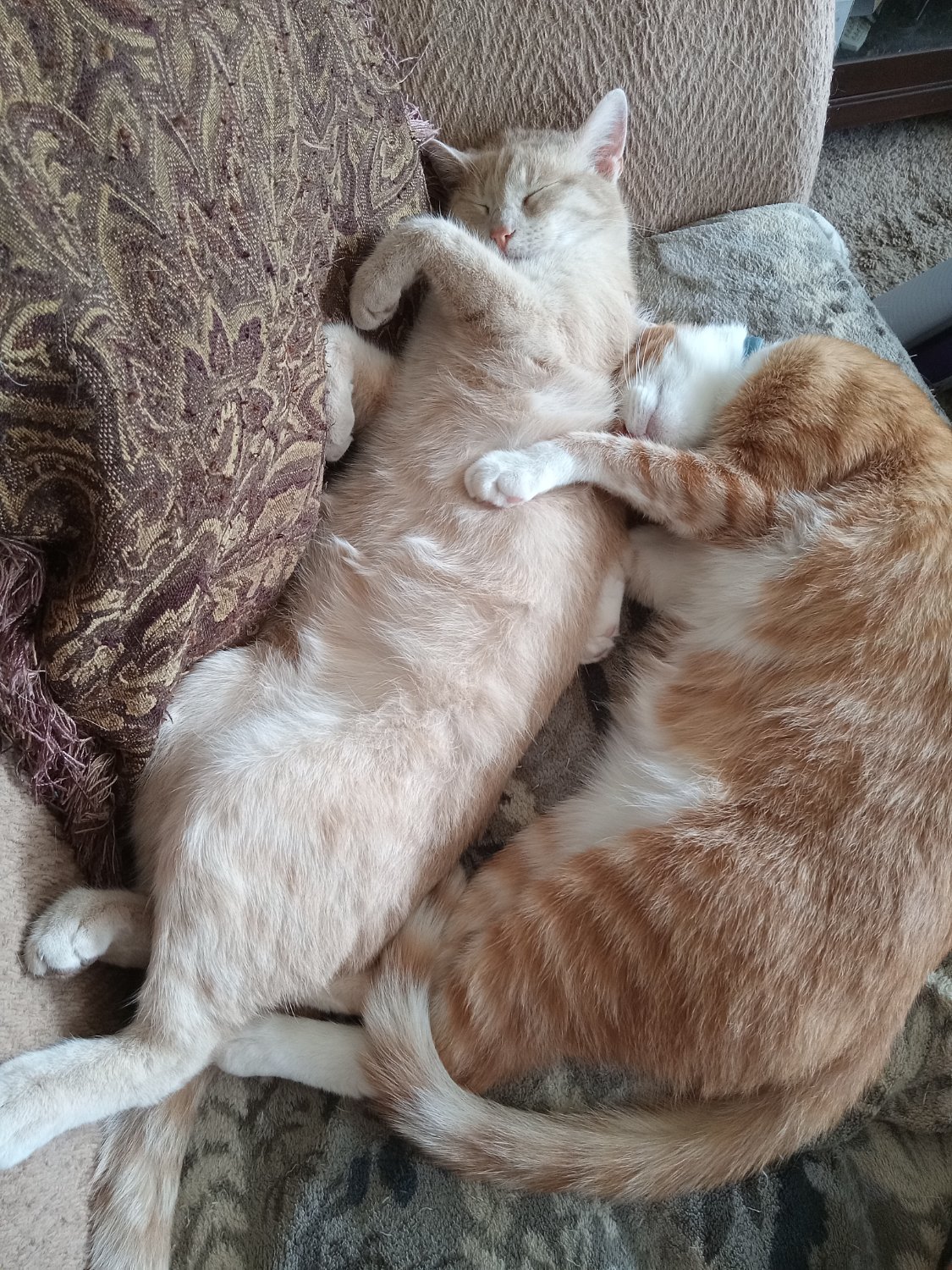 Solve Uncle Ernie and Cheeto jigsaw puzzle online with 108 pieces