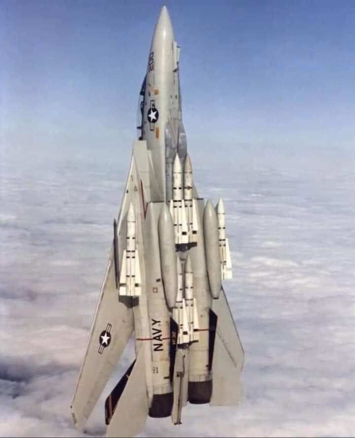 Solve F-14 Tomcat with a full load of six AIM-54 Phoenix missiles ...