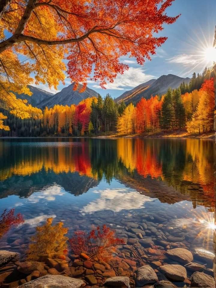 Solve Autumn reflections jigsaw puzzle online with 30 pieces