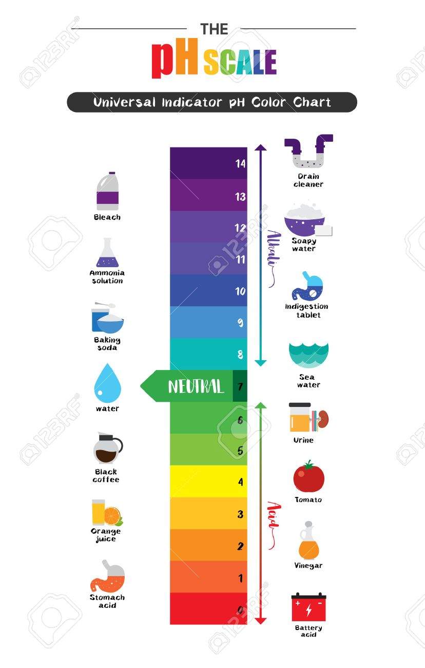 Solve 81803316-the-ph-scale-universal-indicator-ph-color-chart-diagram ...