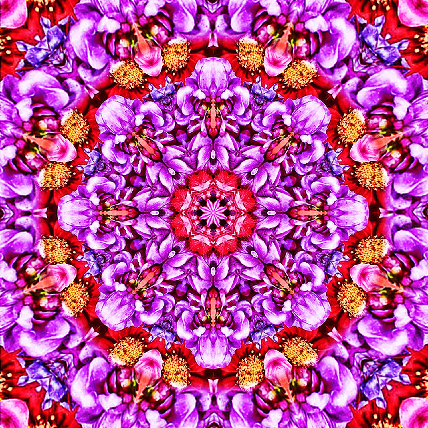 Solve 1 jigsaw puzzle online with 576 pieces