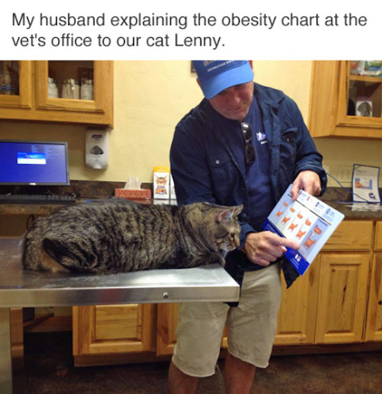 Solve Explaining Obesity Chart jigsaw puzzle online with 9 pieces