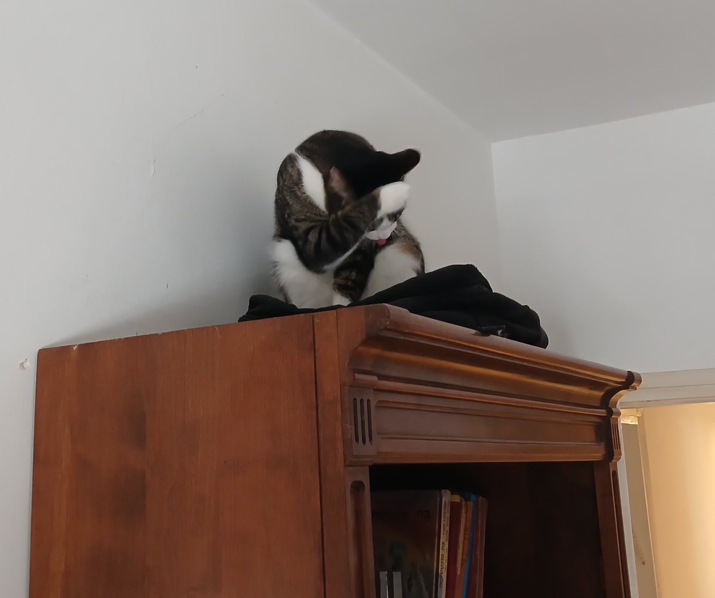 Solve 26.3.26-keeping my personal care routine in my safe area ...