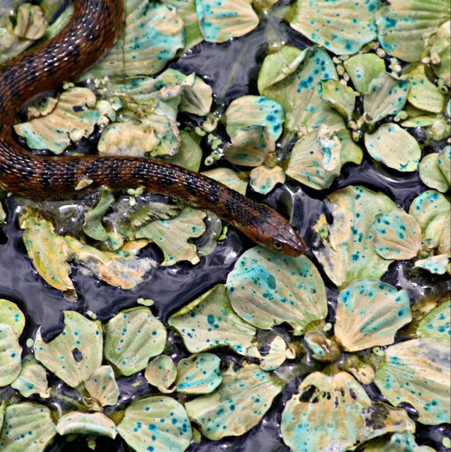 Solve Snake jigsaw puzzle online with 81 pieces