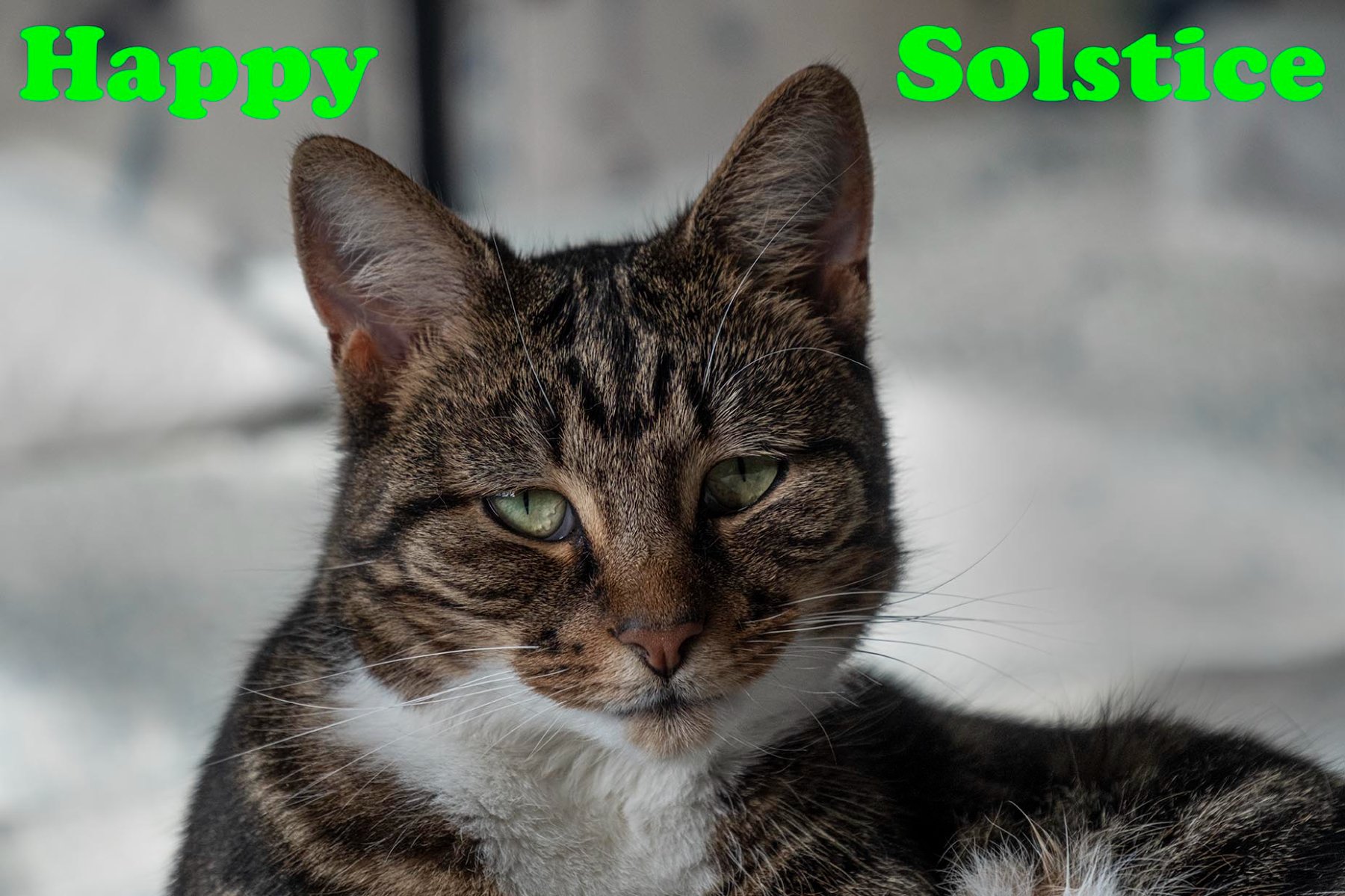 Solve Happy Solstice jigsaw puzzle online with 54 pieces