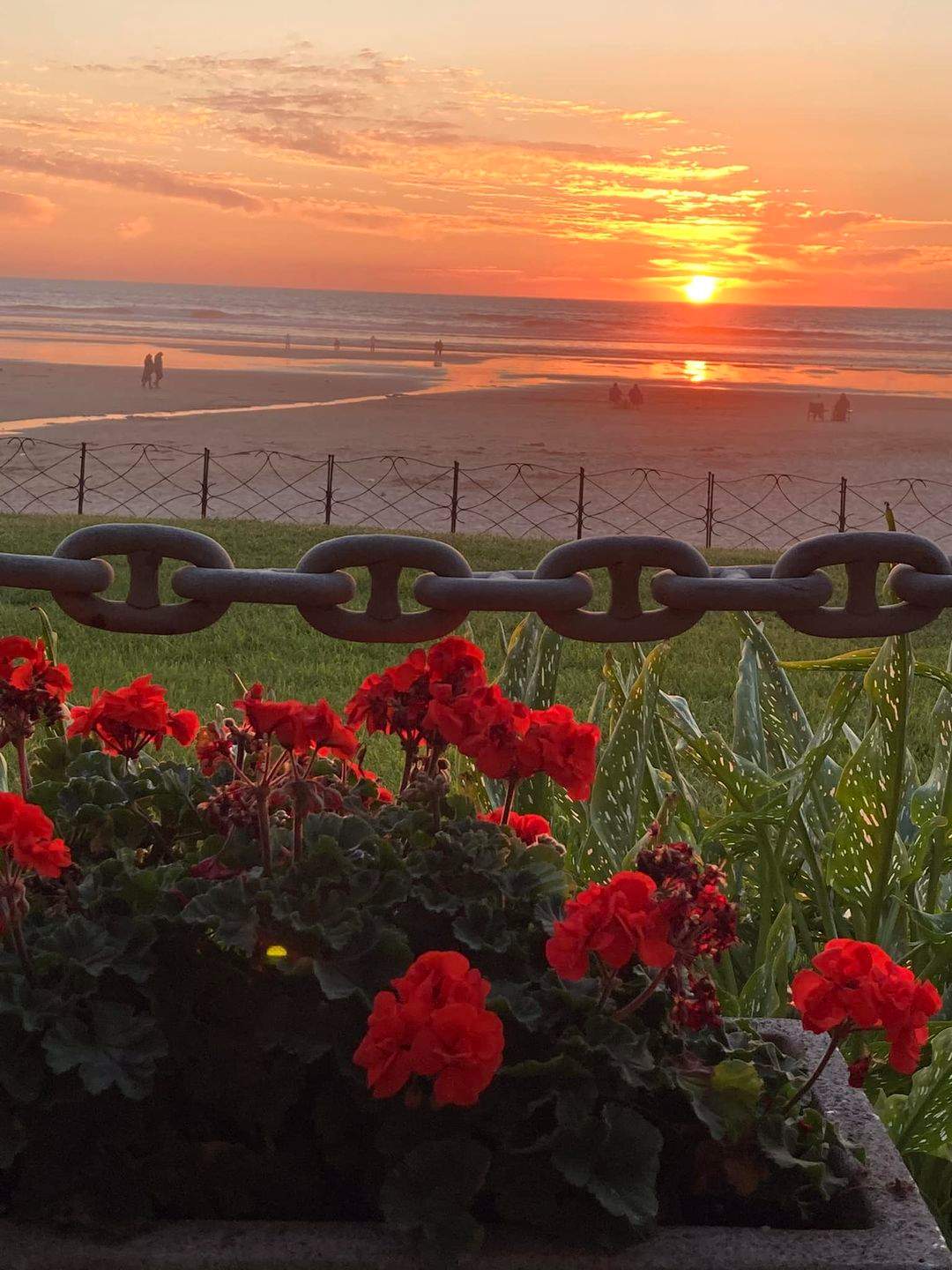 Solve CHAIN CHAIN CHAIN! jigsaw puzzle online with 252 pieces