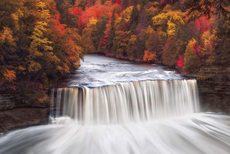 Solve Falling Into Fall jigsaw puzzle online with 117 pieces