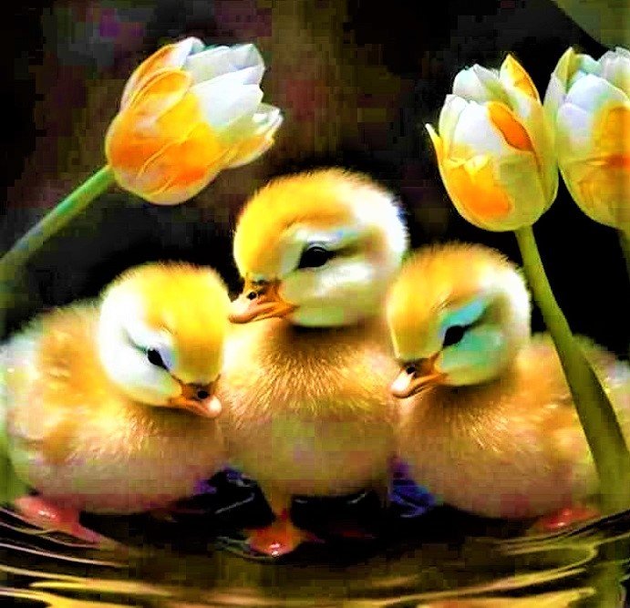 Solve DARLING DUCKLINGS jigsaw puzzle online with 121 pieces