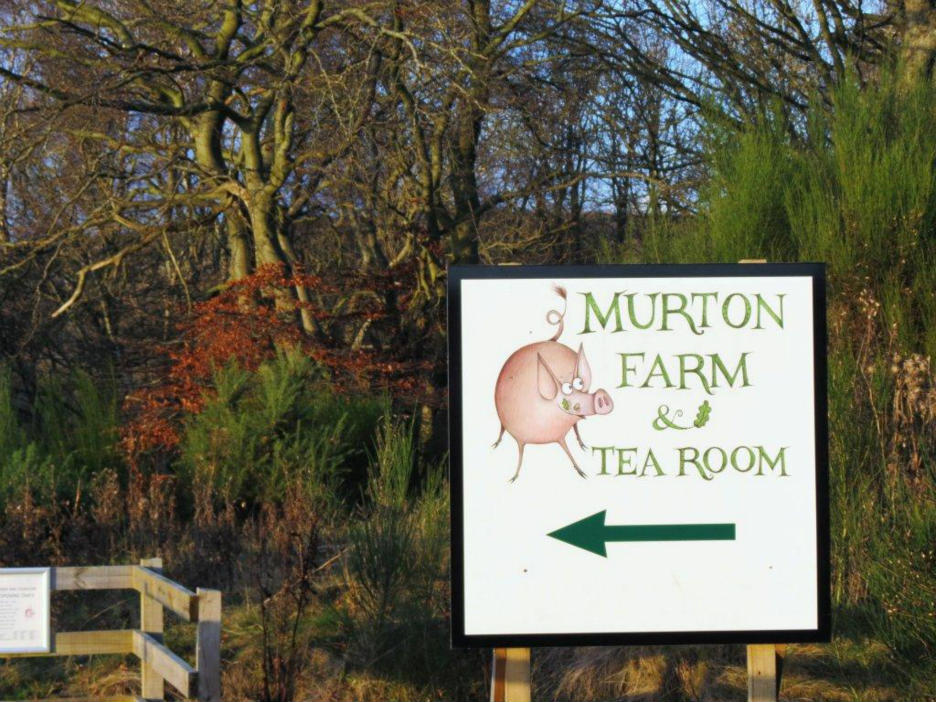 Solve Murton Farm in Angus, Scotland jigsaw puzzle online with 20 pieces