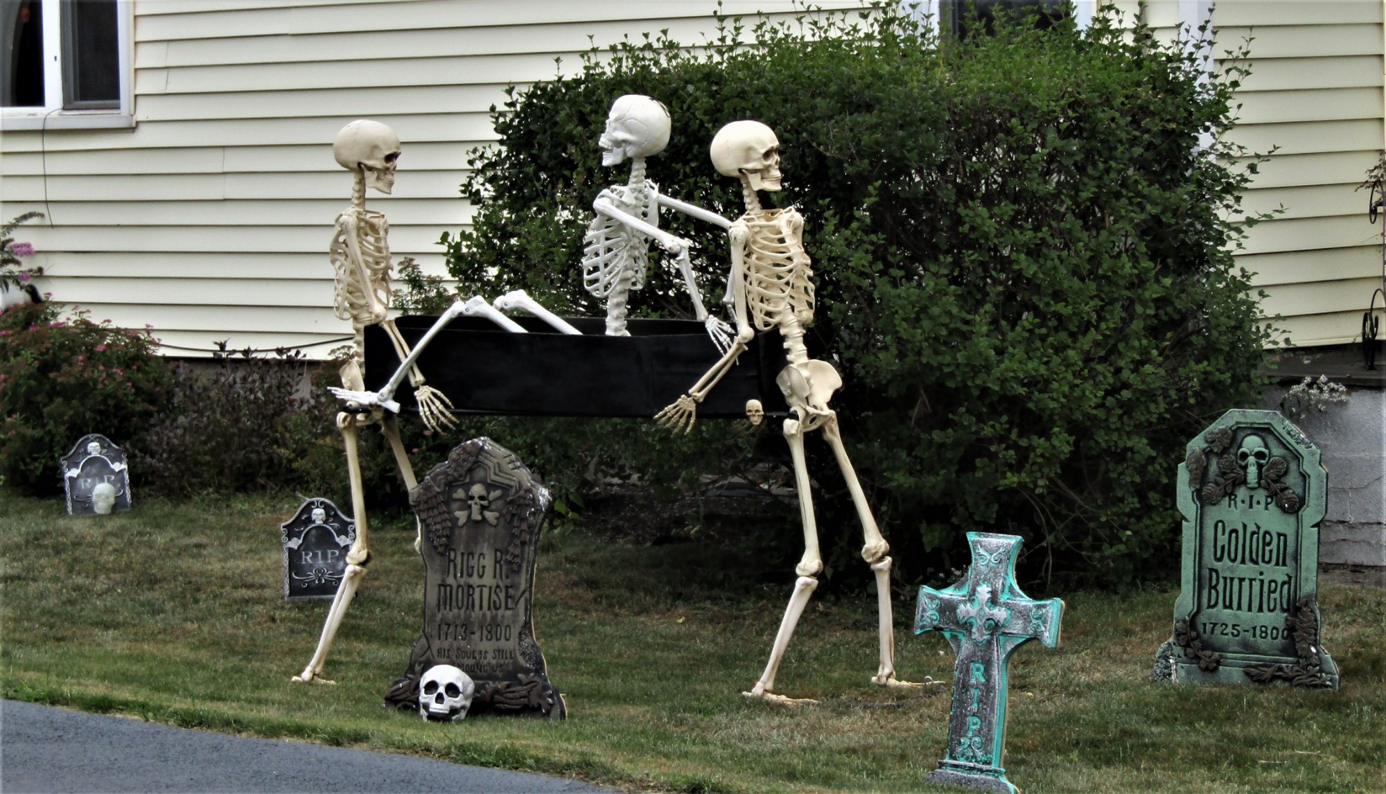 Solve ```````MOVING DAY FOR THE BONES FAMILY jigsaw puzzle online with ...