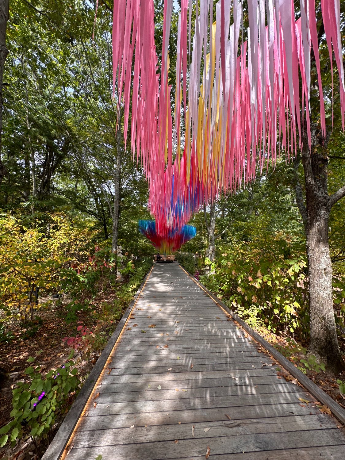 Solve Aerial art by Patrick Shearn of Poetic Kinetics jigsaw puzzle ...