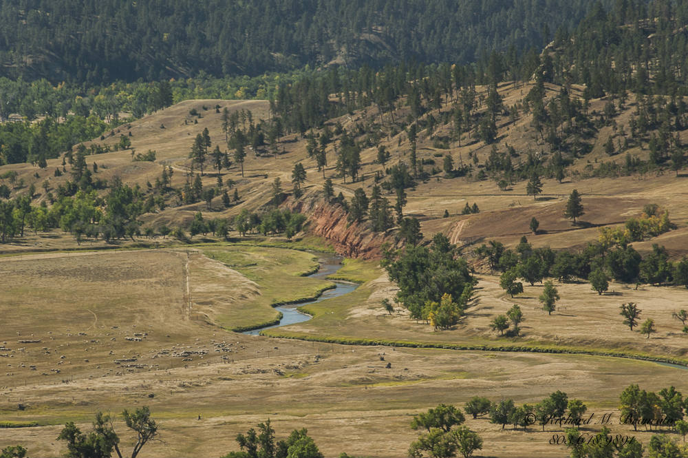 Solve Looking back from the base of the Devil's Tower jigsaw puzzle ...