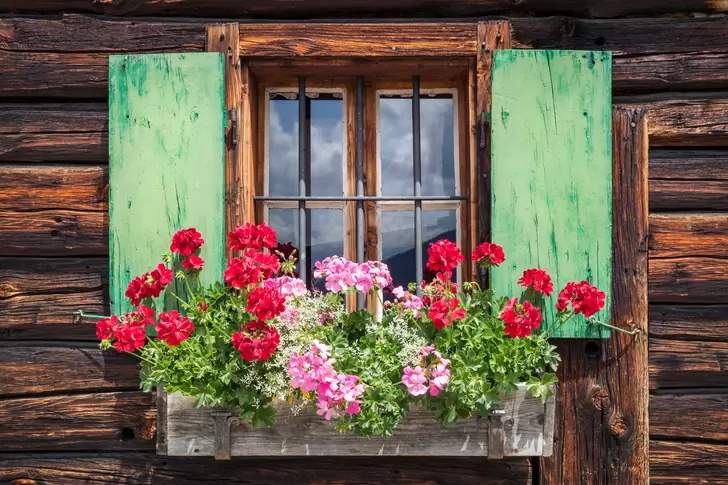 Solve BEAUTIFUL WINDOW jigsaw puzzle online with 70 pieces