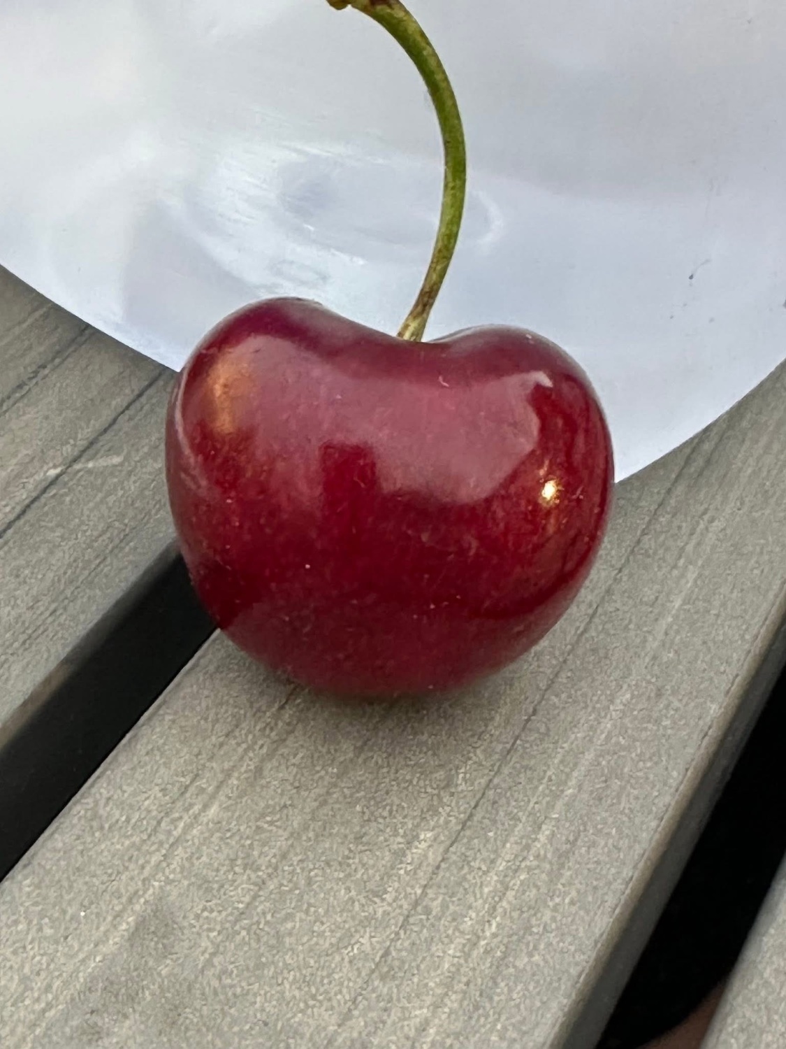 Solve Seattle in a cherry! jigsaw puzzle online with 192 pieces