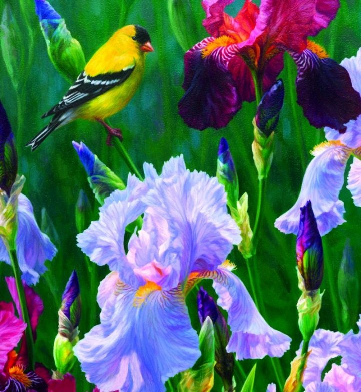 Jigsaw Puzzle | 56 pieces | Bird and irises | Jigidi