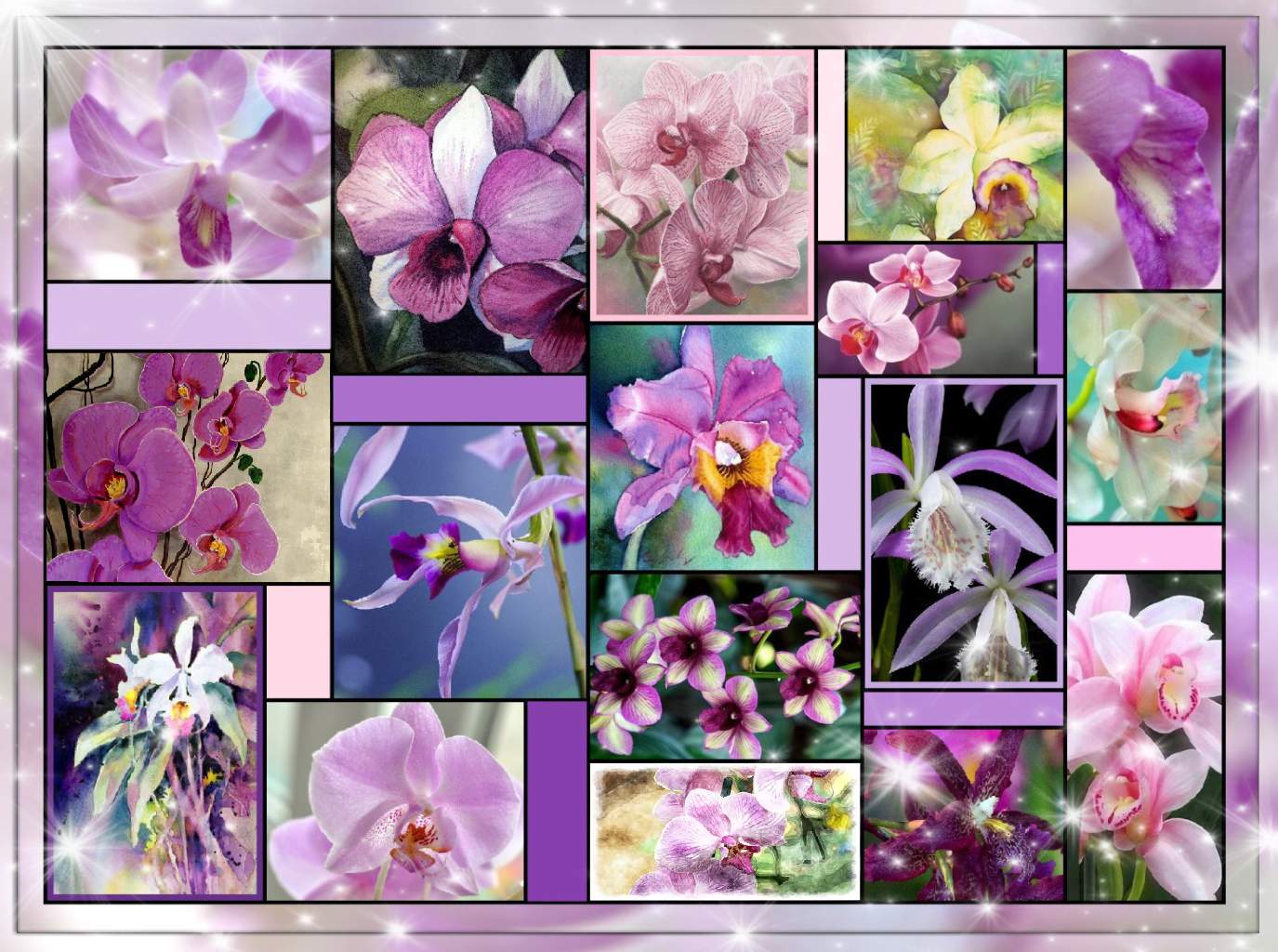 Solve Lovely orchids jigsaw puzzle online with 336 pieces