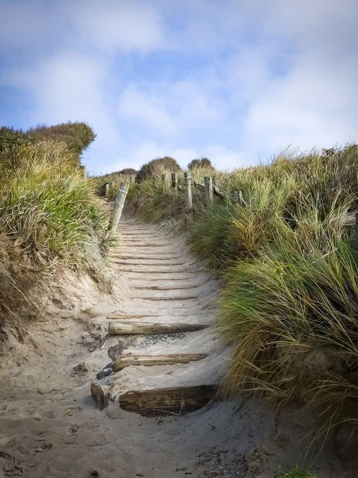 Solve sandy steps jigsaw puzzle online with 192 pieces
