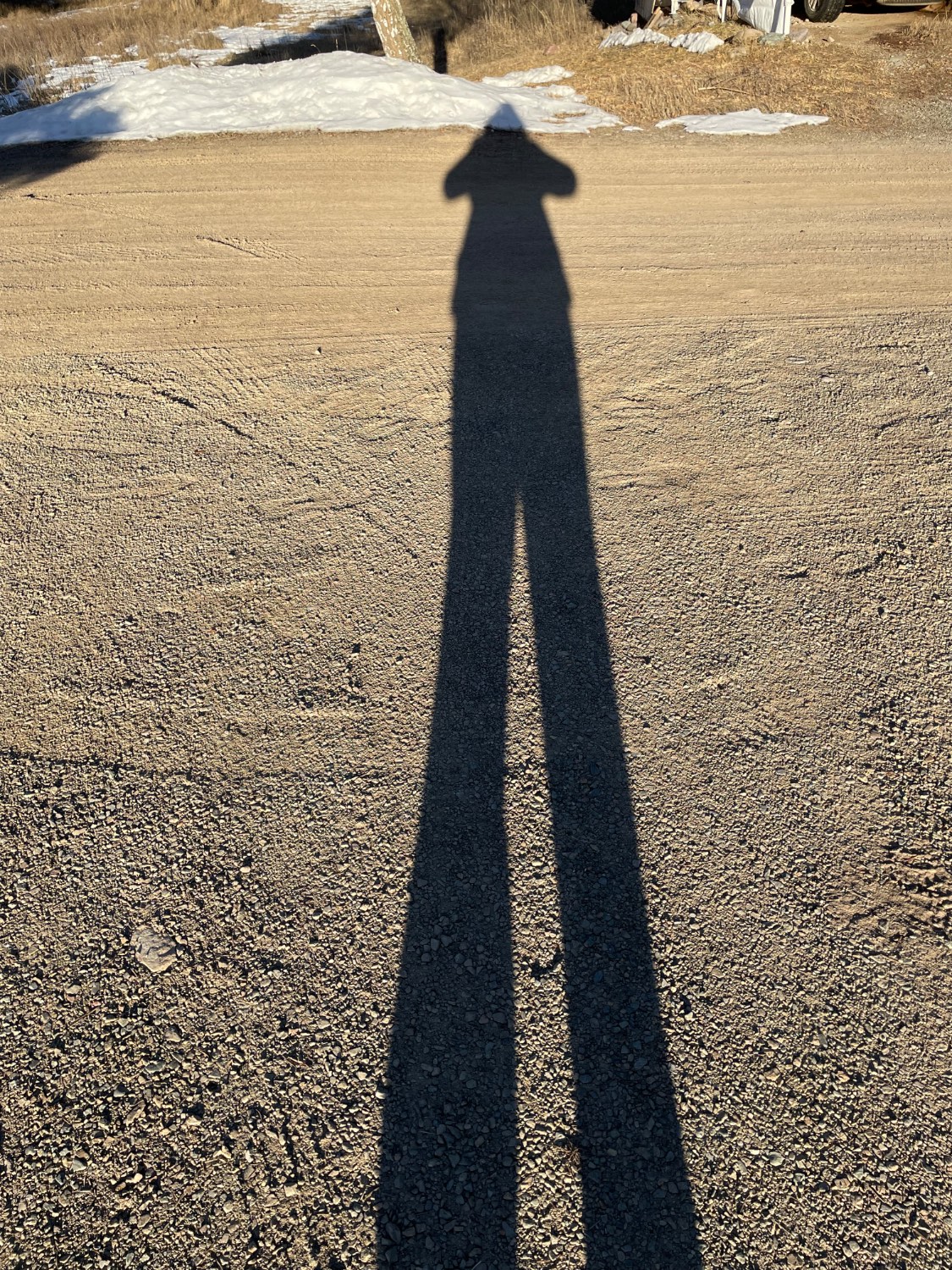 Solve longgg shadow jigsaw puzzle online with 88 pieces