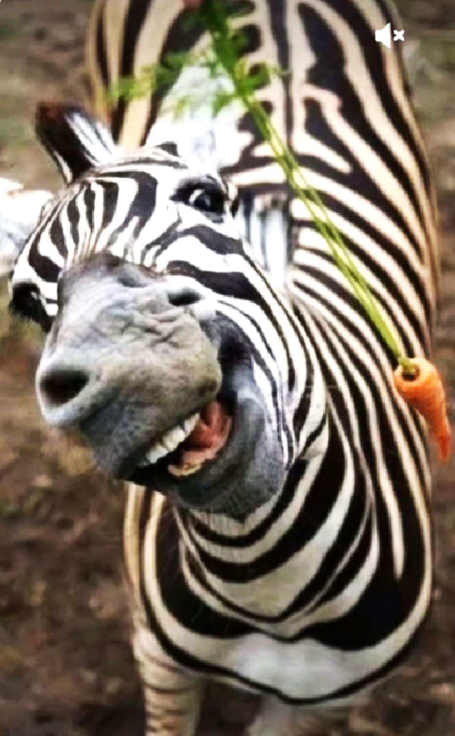 Solve Smile! jigsaw puzzle online with 126 pieces