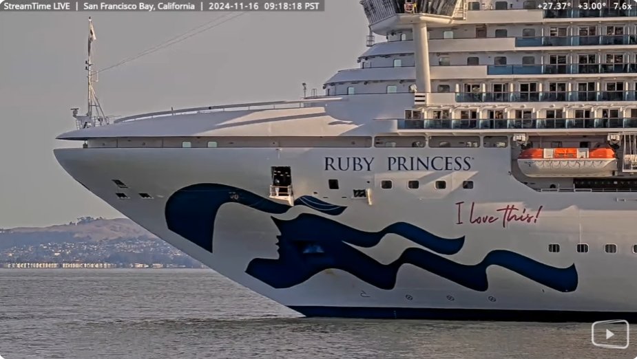 Jigsaw Puzzle | 60 pieces | Ruby Princess making a spin, arriving in ...