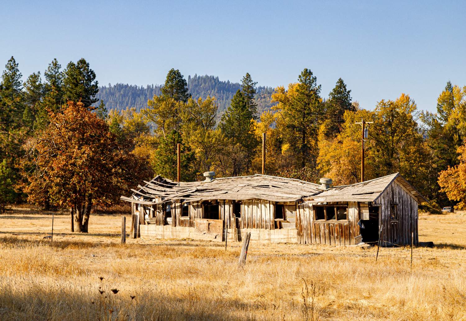 Solve SWAY-BACKED BARN jigsaw puzzle online with 96 pieces