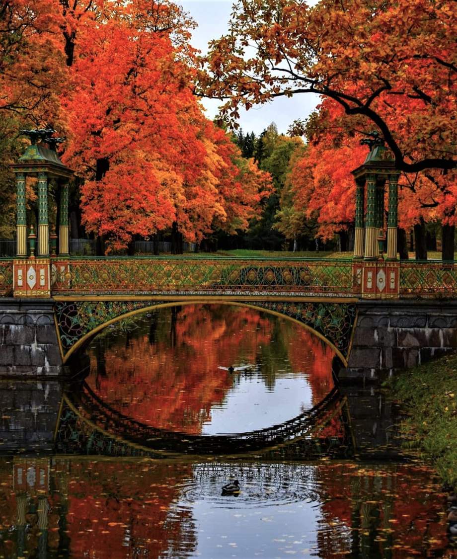 Solve Bridge over still water jigsaw puzzle online with 42 pieces