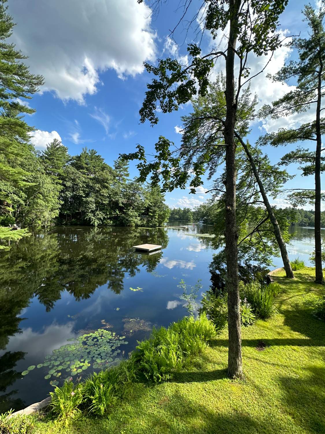 Solve A sunny day jigsaw puzzle online with 108 pieces