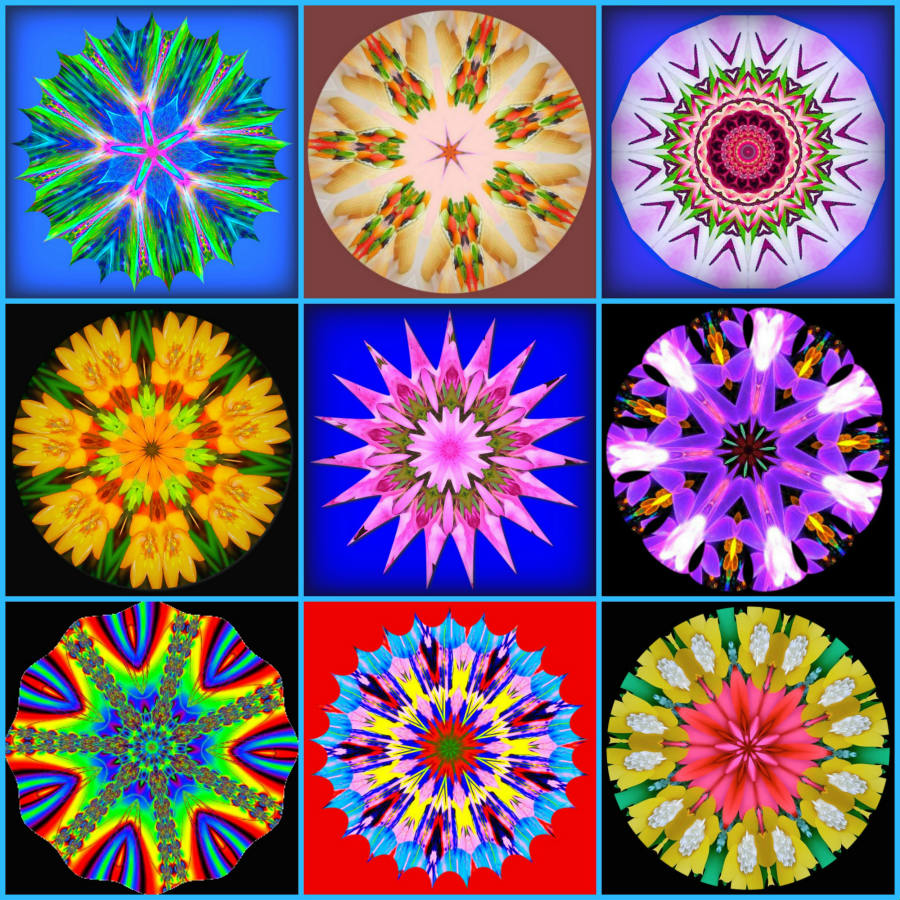 Solve Collage 3x3 jigsaw puzzle online with 81 pieces