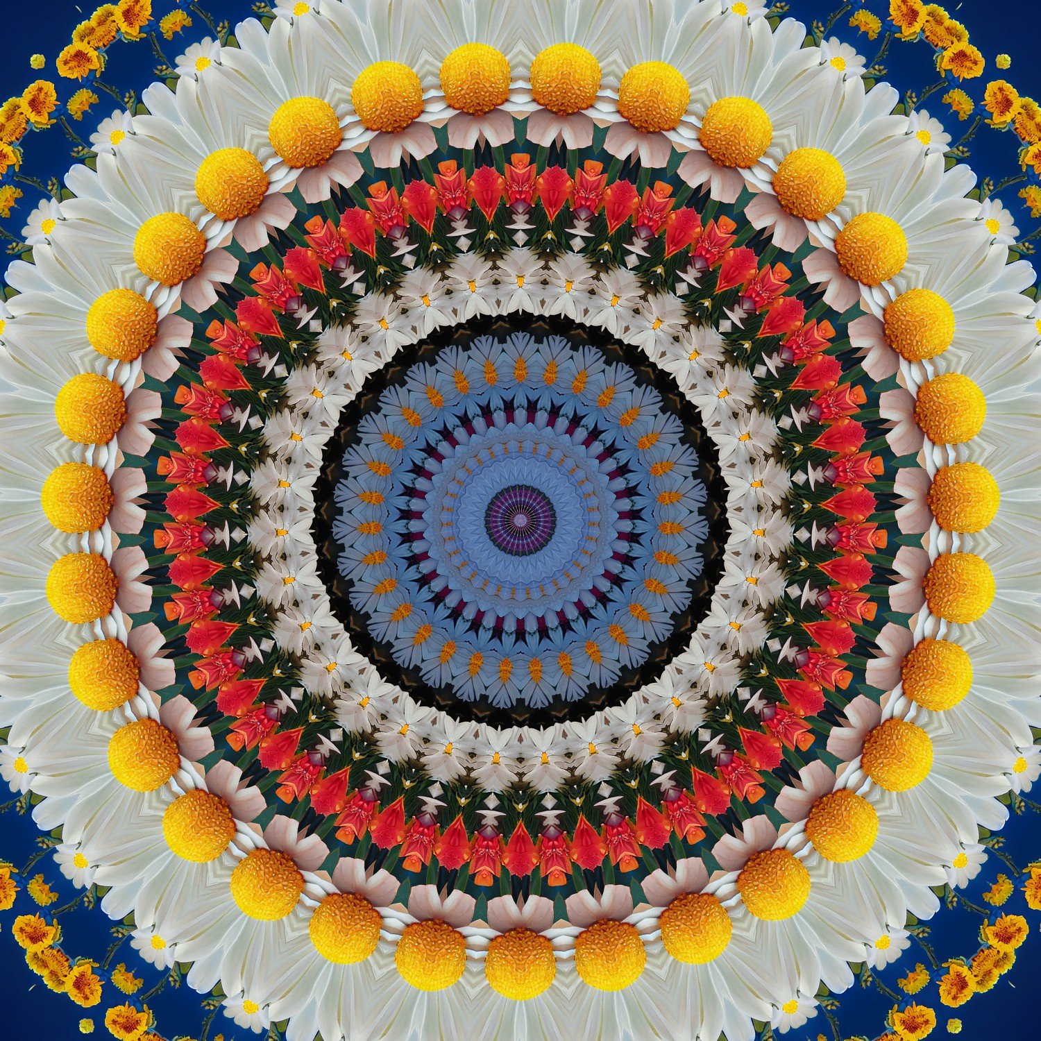 Solve 17 jigsaw puzzle online with 600 pieces