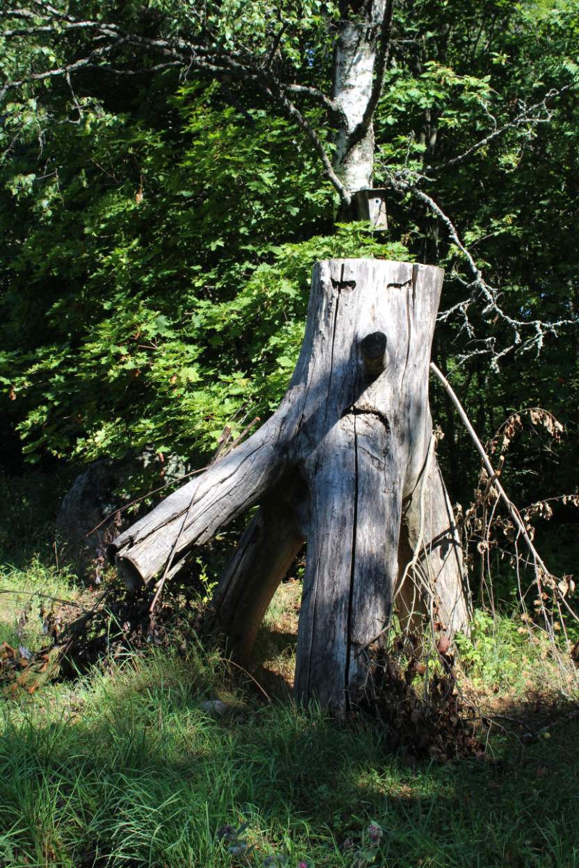 Solve puu-ukko jigsaw puzzle online with 70 pieces