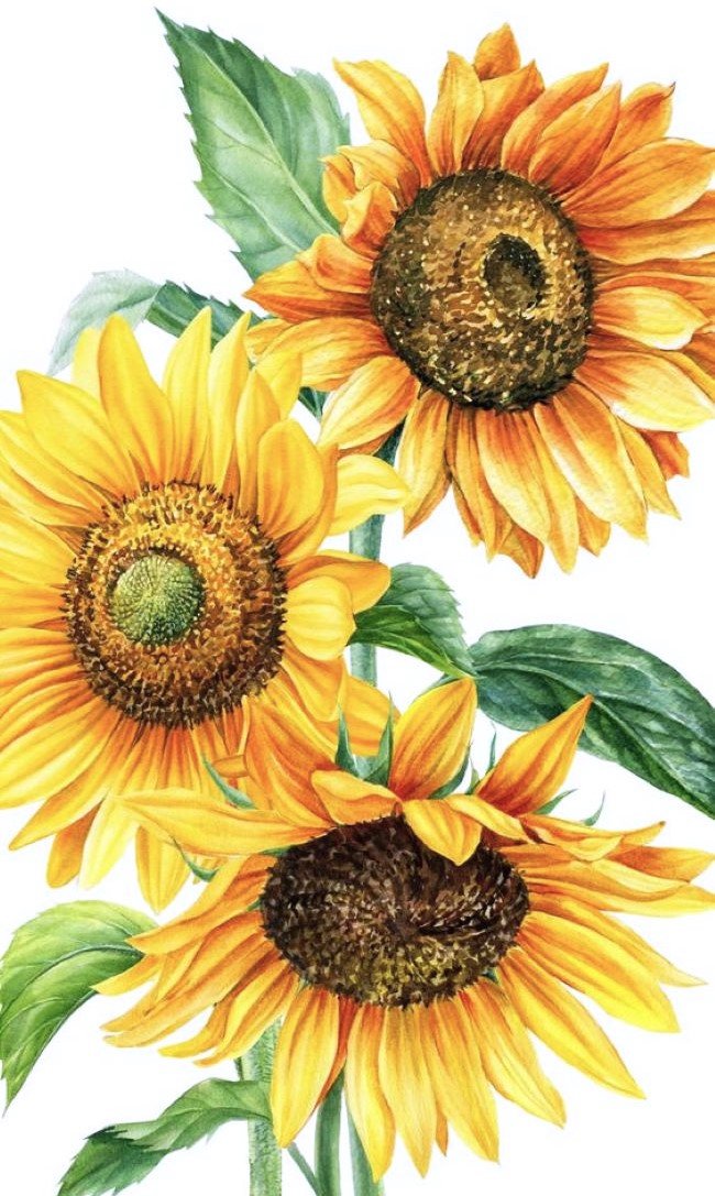 Solve 02788 jigsaw puzzle online with 104 pieces