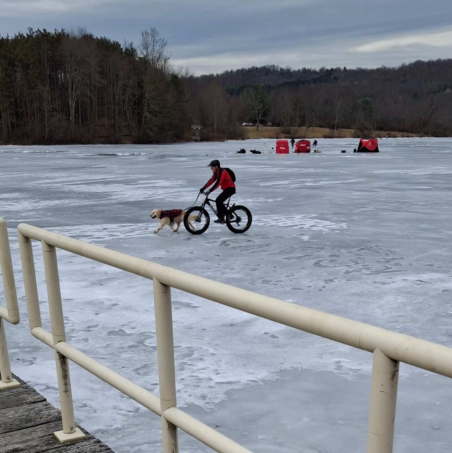 Solve Enjoying the ice jigsaw puzzle online with 81 pieces