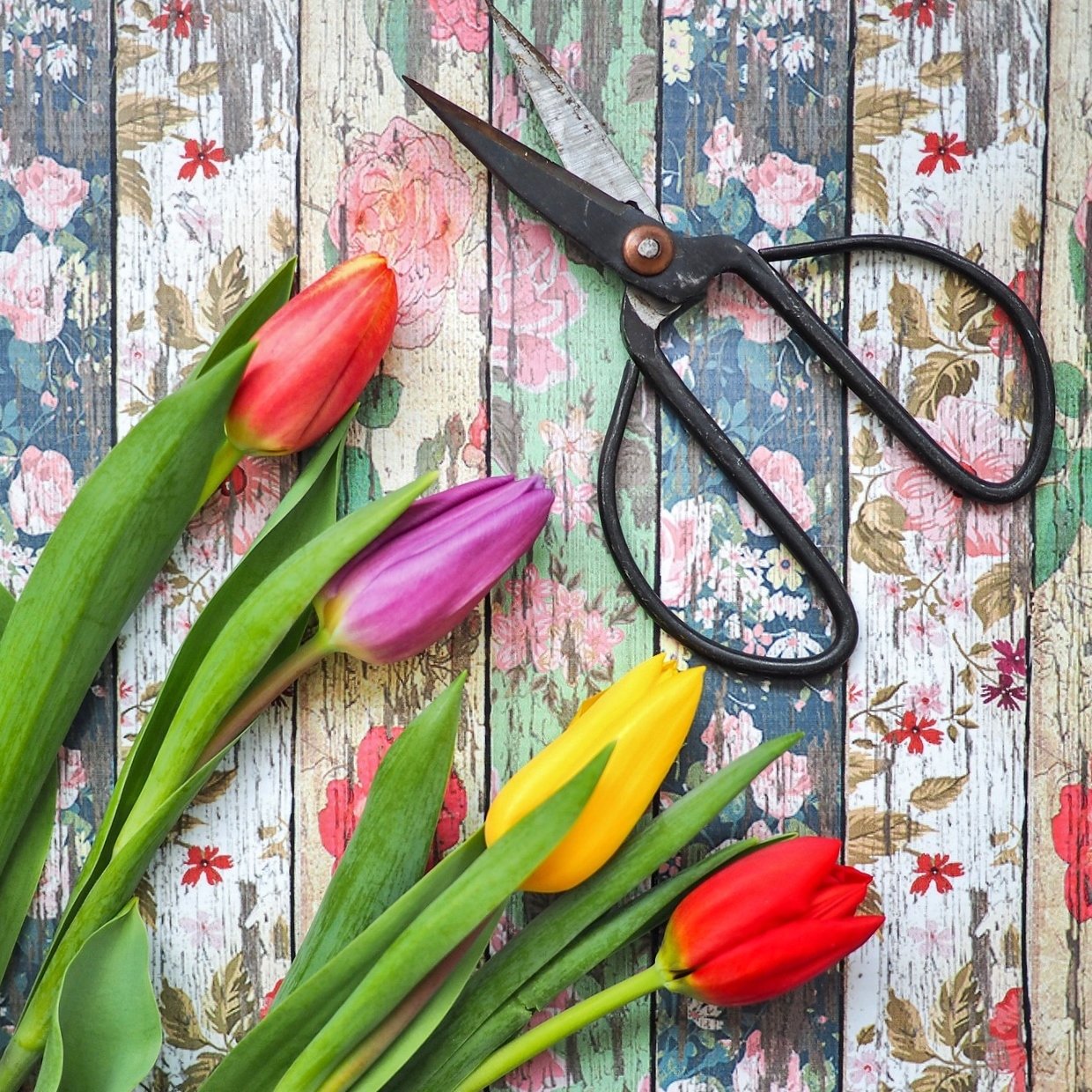 Solve Tulips and Shears, resizable 9 to 440 pieces jigsaw puzzle online ...