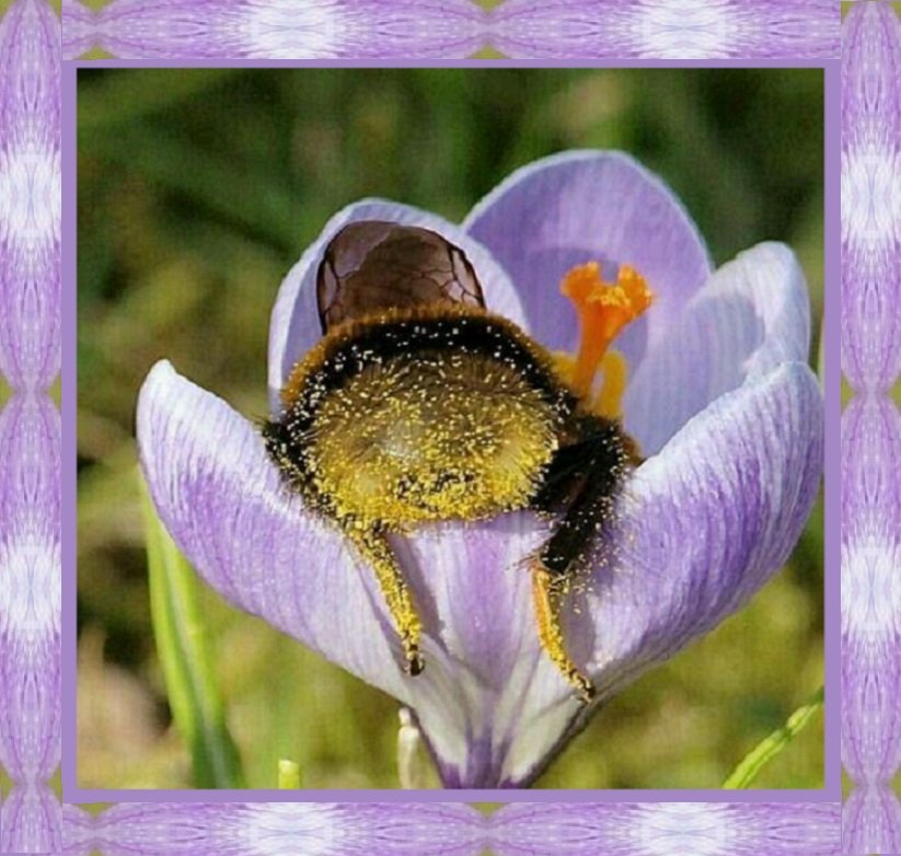 Solve Over Doing it jigsaw puzzle online with 132 pieces